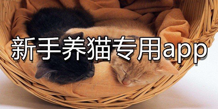饲料猫app下载