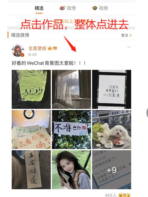 微博去水印图标