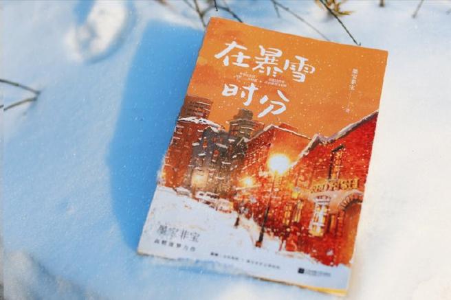 在暴雪时分全文阅读截图