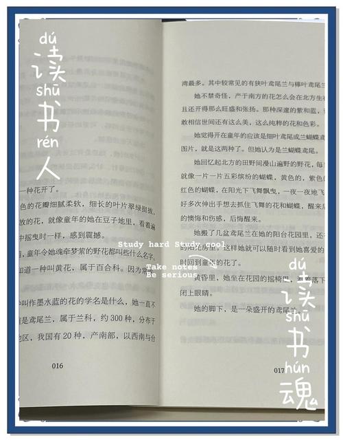 飞鸟与鱼全文阅读图标