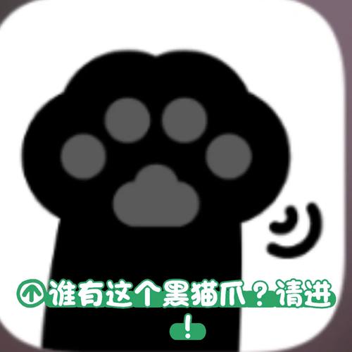 黑色猫爪的小说对话软件图标