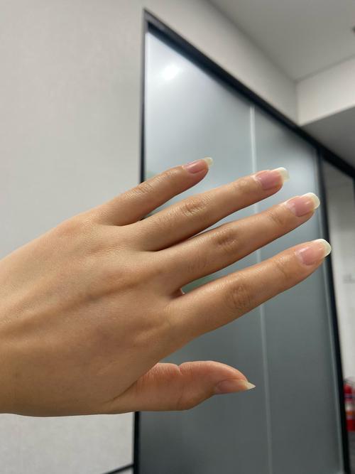 快手打赏钱可以退吗图标