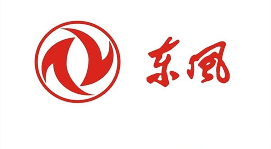 风行集团是做什么的图标