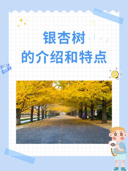 银杏树简介资料大全图标