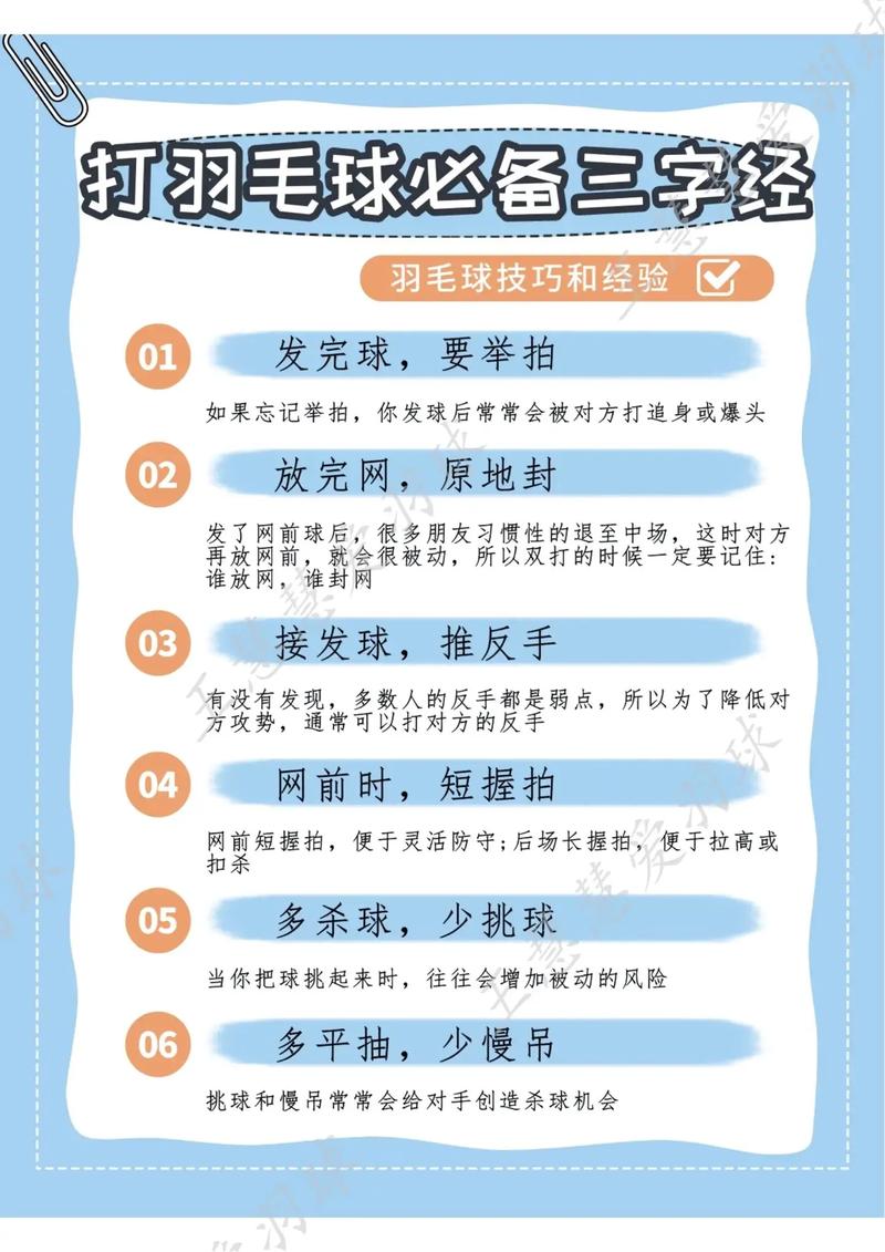 白羽球和羽毛球的区别图标
