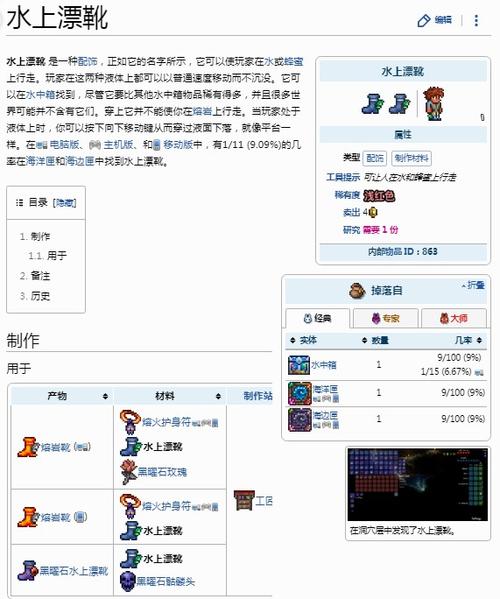 泰拉瑞亚旧鞋