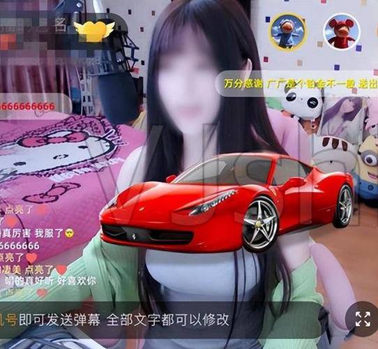 女主播和榜一大哥的小说图标