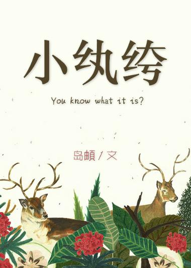 小纨绔岛頔图标