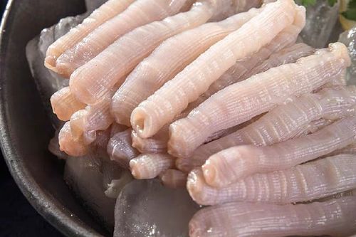 海沙虫的功效与作用截图