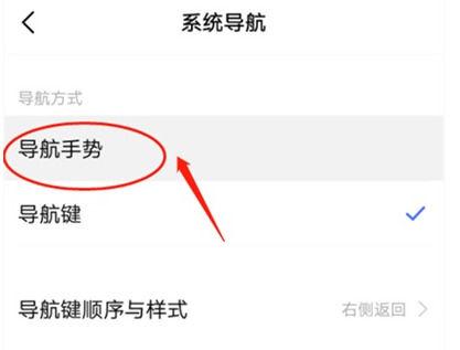小米9虚拟按键隐藏图标