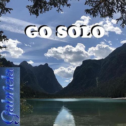 go solo表达了什么意境截图
