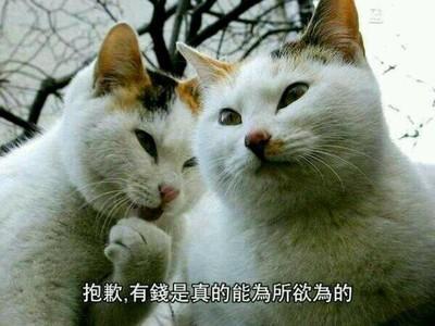 人可以为所欲为但不能得偿所愿截图