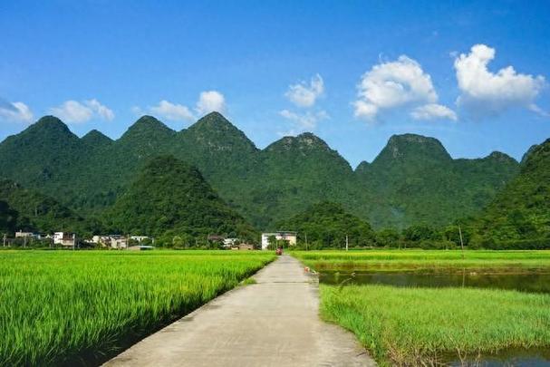 最美田园风光文案截图