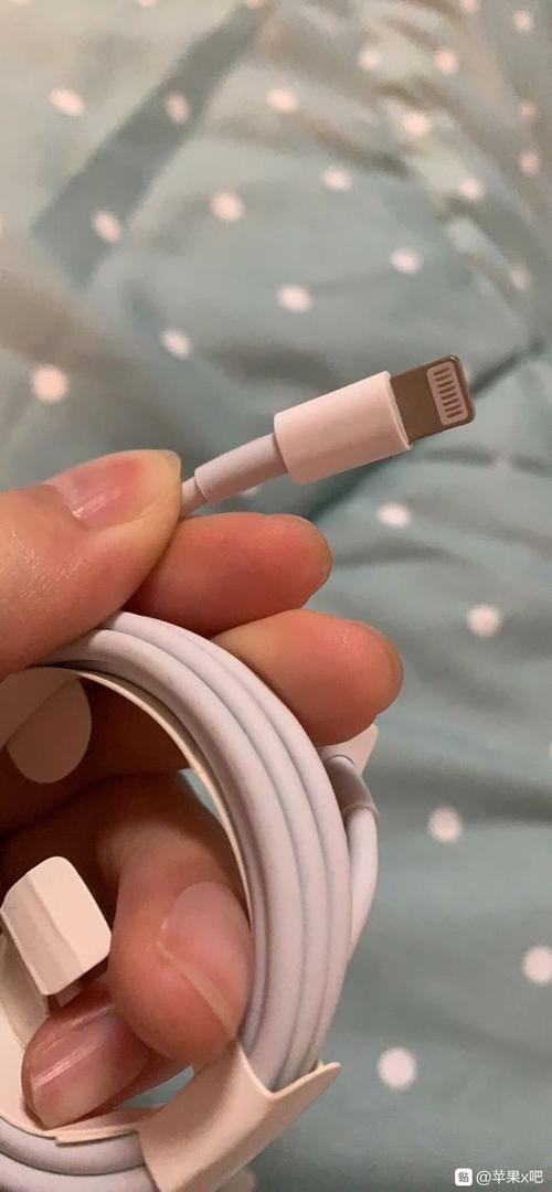 苹果usb-c数据线真假辨别图标
