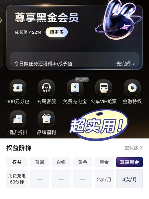 怎么充会员截图