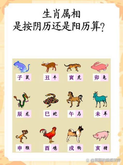 属相是按阴历还是阳历