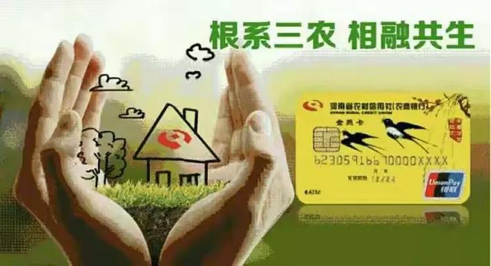 免费二合一收款码游戏截图