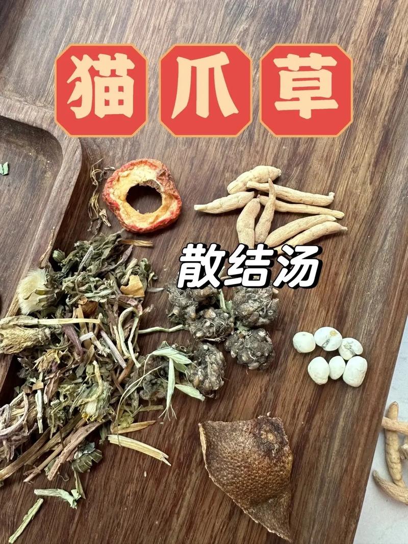 猫肉民间偏方图标