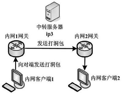 PassNAT内网穿透图标