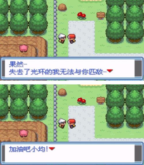 口袋妖怪汉化破解版图标