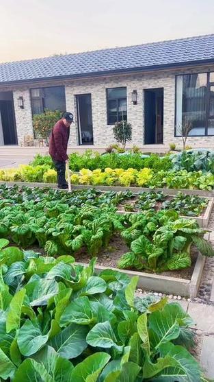 带菜园的农家小院出租图标