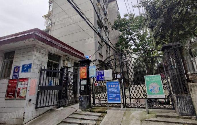 紫竹林2号图标