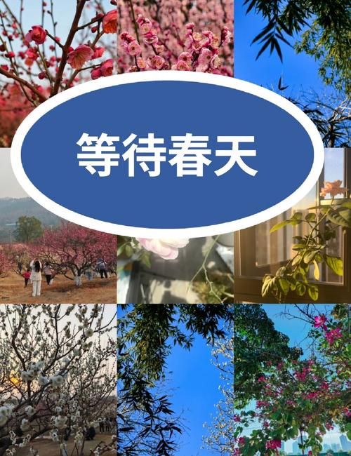 邂逅美好作文600字图标