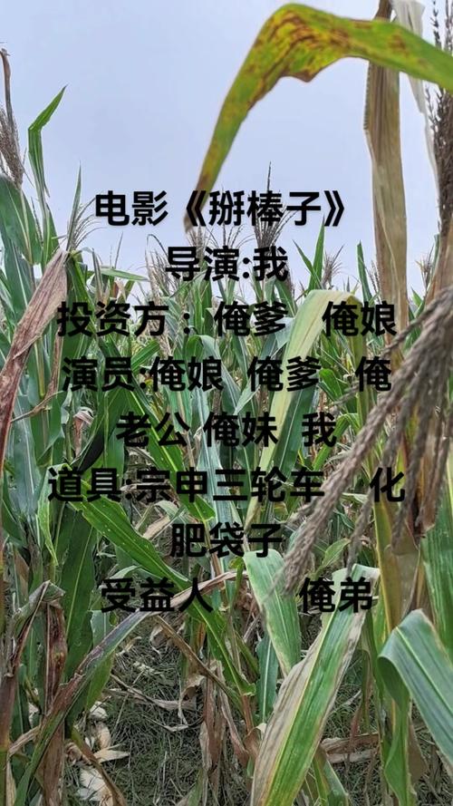 玉米电影现在叫什么名字图标