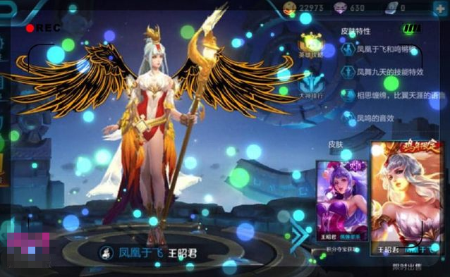 王者小翅膀符号图标