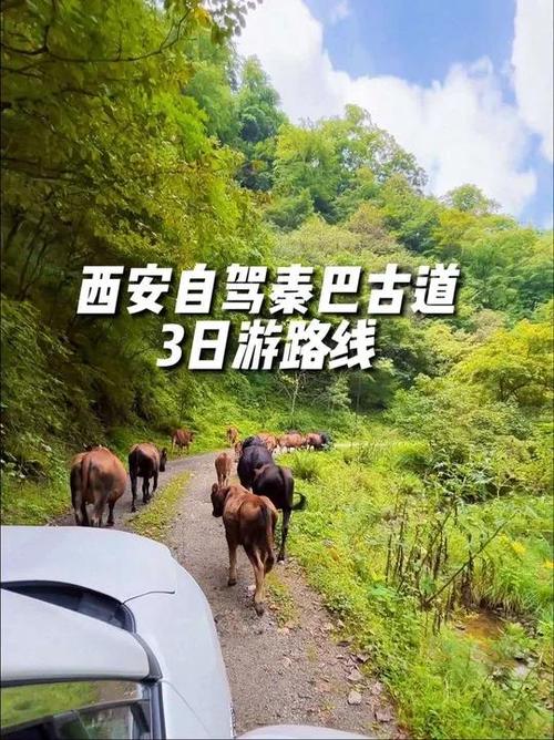 西安三日游攻略