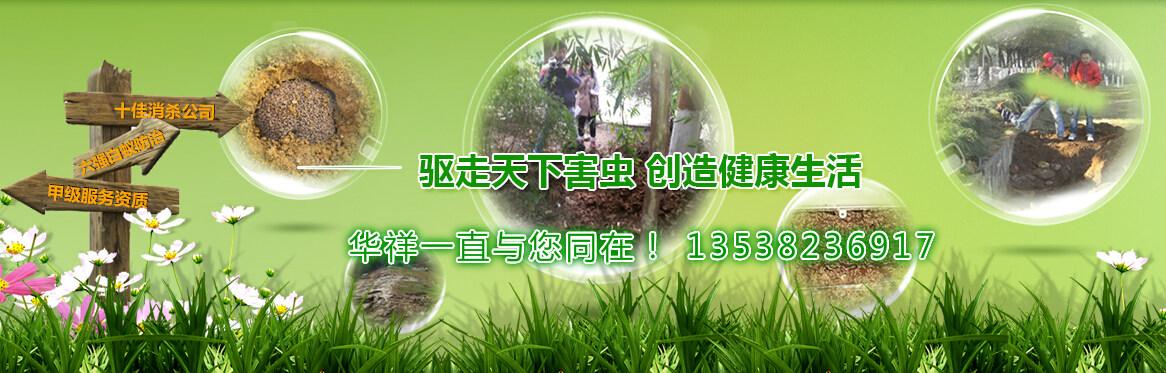 家里有臭虫怎么才能彻底消灭图标