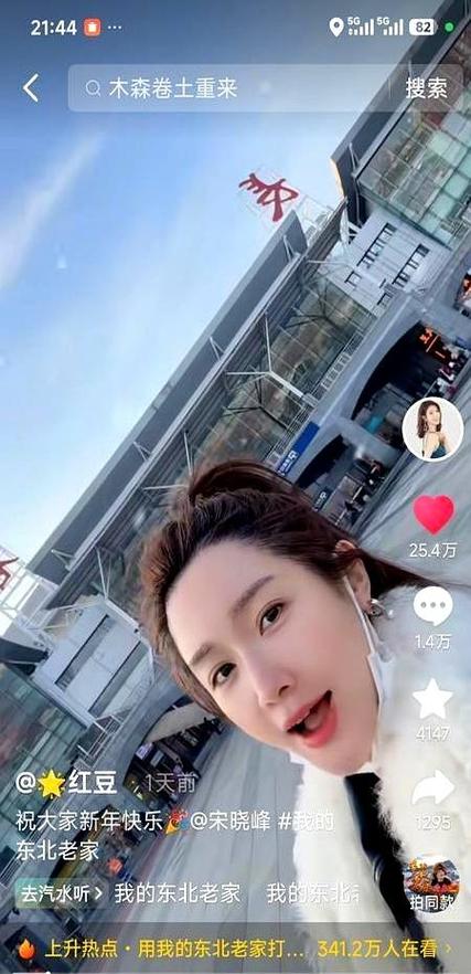 艺人红豆截图