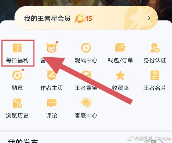 王者营地怎么查充了多少钱截图