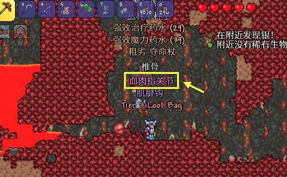 泰拉瑞亚血肉指关节有什么用