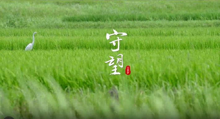 手机用护眼模式好不好图标