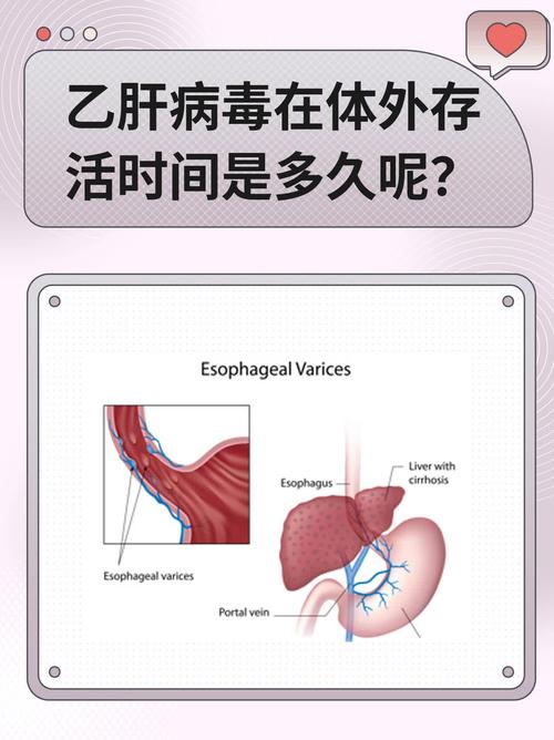 乙肝病毒离体能活吗图标