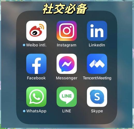 biscuit社交平台图标