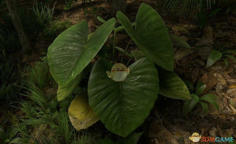 绿色地狱解毒植物