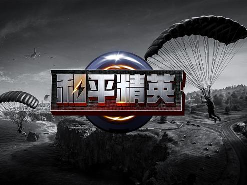 和平精英前面的图标