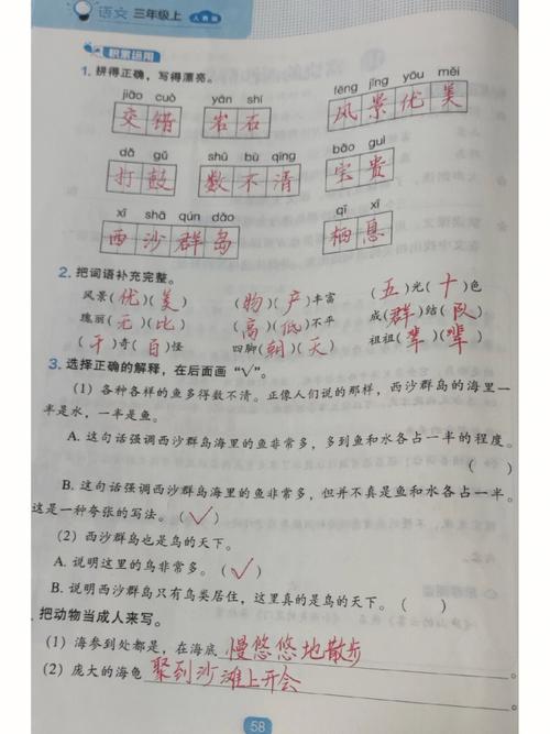 围棋答案拍照图标