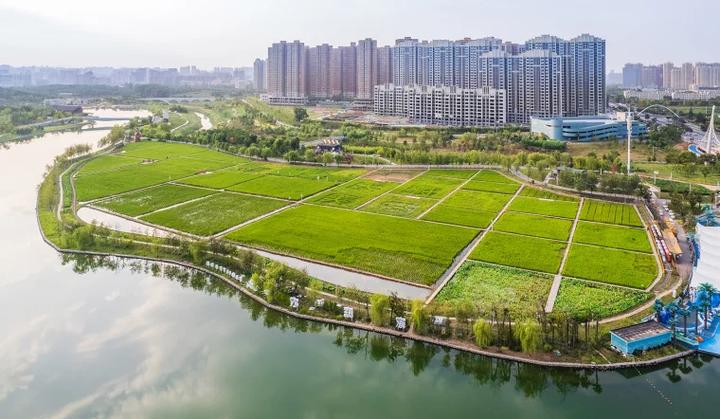 都市农场图标