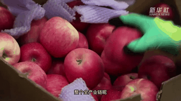 苹果销售旺季是几月份截图
