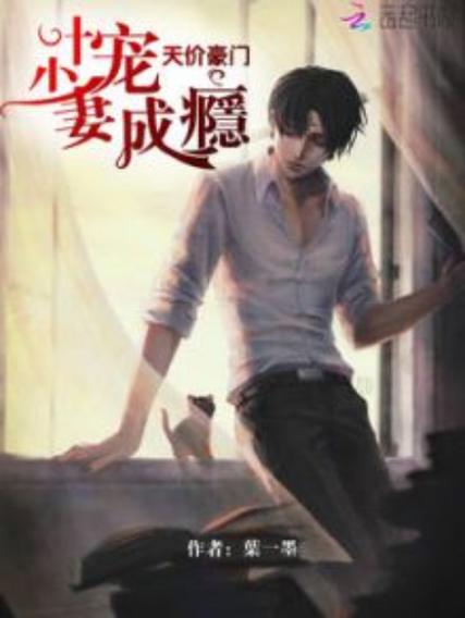男主角姓叶的总裁豪门小说图标