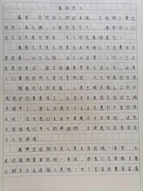 森林防火400字图标