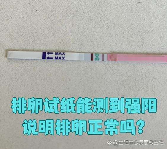 月经干净几天是排卵期容易怀孕图标