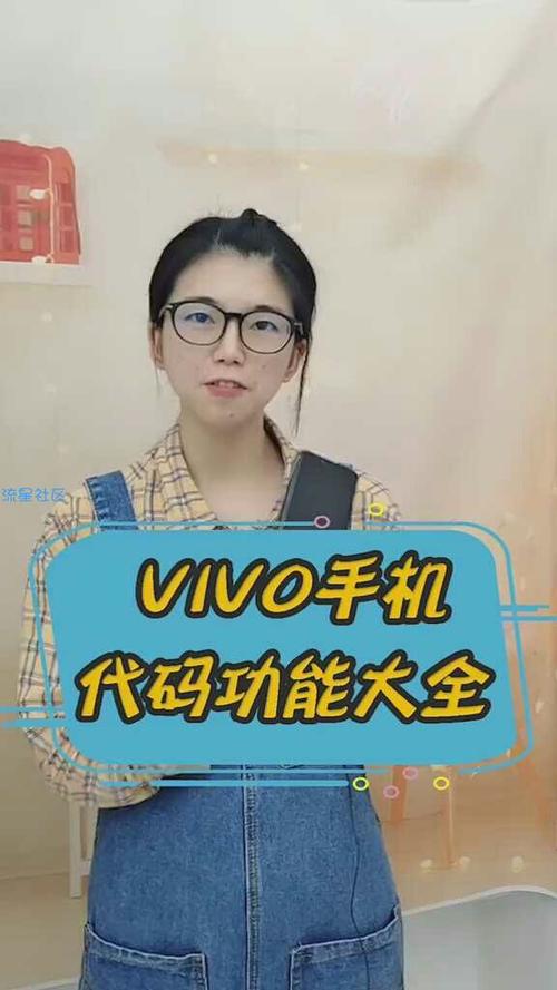 vivo手机代码功能大全图标