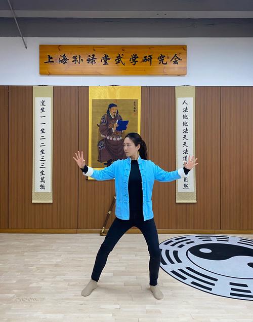 万文德太极拳视频游戏截图