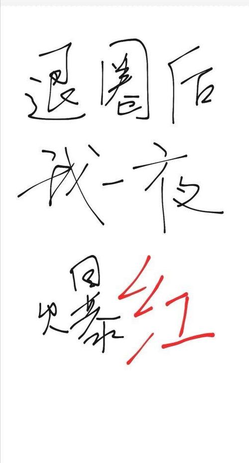 全网黑的我退圈考公后爆红了.txt截图