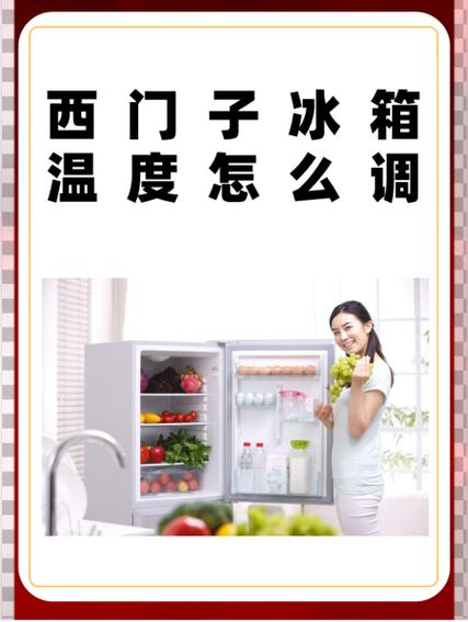 西门子冰箱调温度视频图标