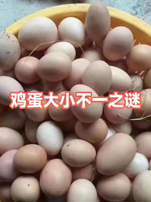 安卓16的彩蛋触发不了图标